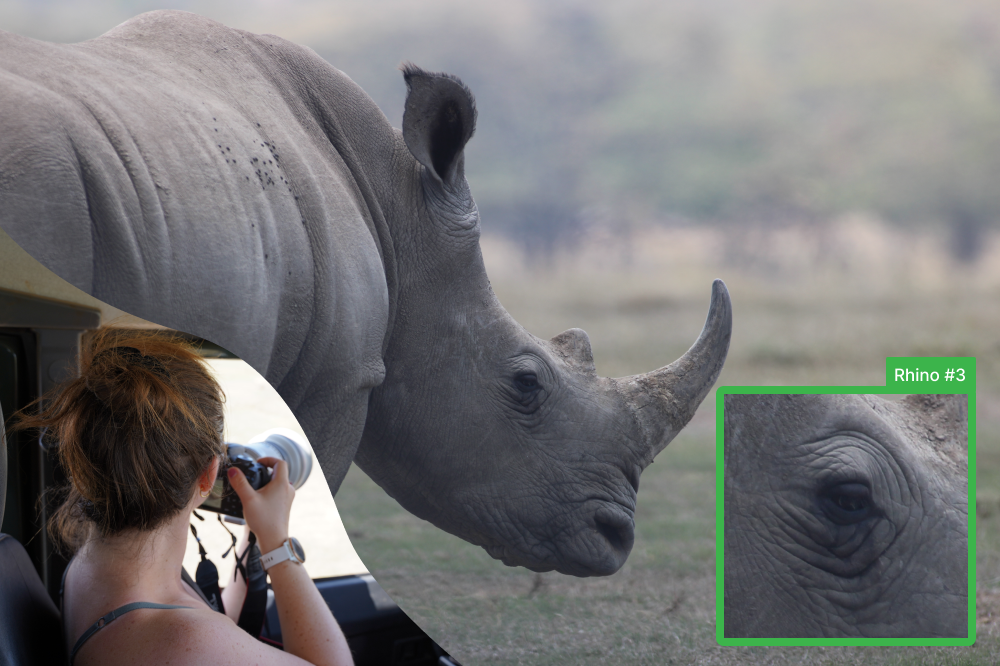 Tech for Good: Using AI to Track Rhinos in Kenya