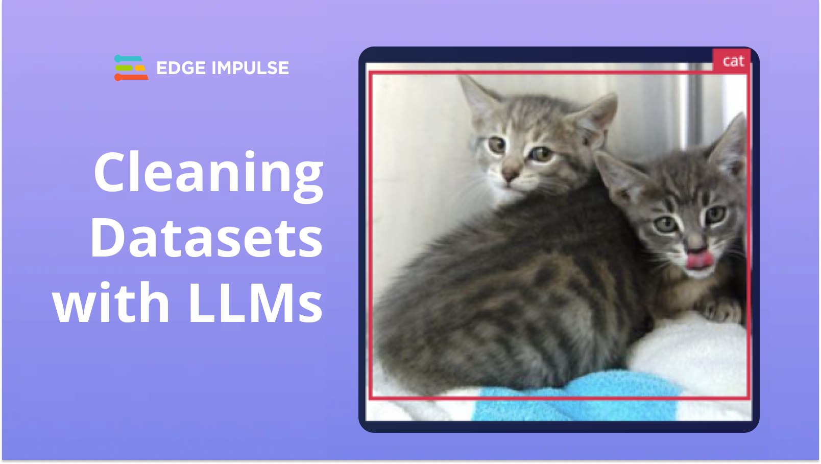 Dataset Cleaning With AI (or: Do LLMs Dream of Electric Cats?)