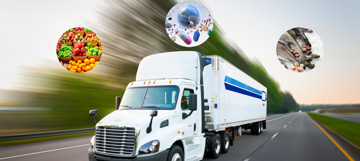 Applying Embedded Machine Learning to Temperature Monitoring in Cold ...